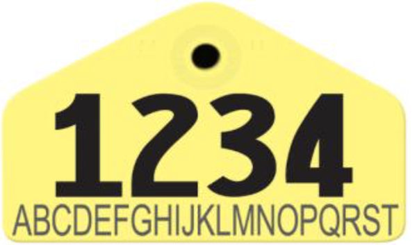 Allflex Hog Male Layout 18 - Yellow – LivestockTags.com