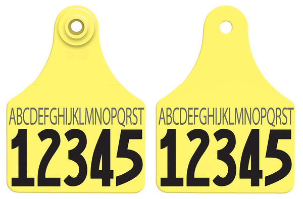 Allflex Large Layout 39 - Yellow – LivestockTags.com