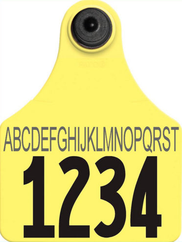 Allflex Large Layout 2 (Tamperproof) - Yellow – LivestockTags.com