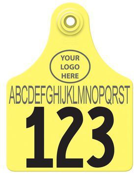 Allflex Maxi Layout 17 - Yellow – LivestockTags.com