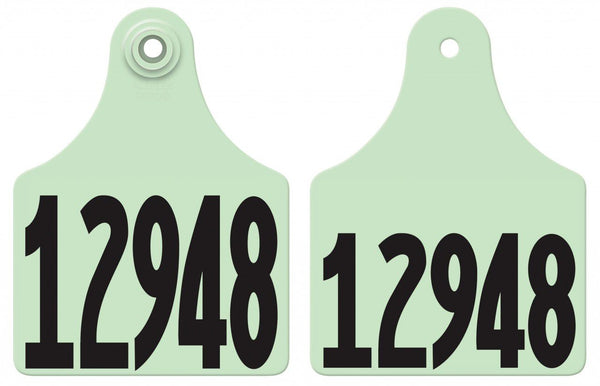 Allflex Maxi Layout 1R - Yellow – LivestockTags.com